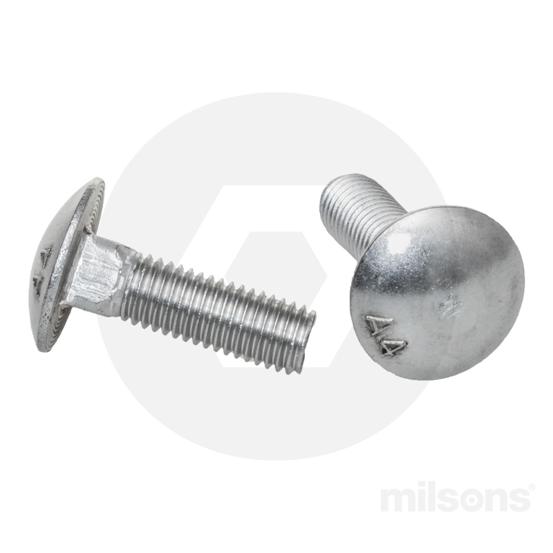 COACH BOLT ONLY SS316 M10x50 | Milsons